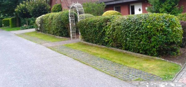 PERFO Ground Protection - Vehicle Parking and Driveways